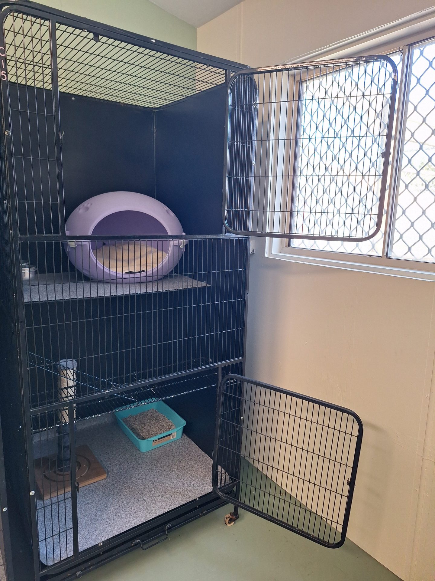 Cat Boarding - Country Pine Kennels & Caterry